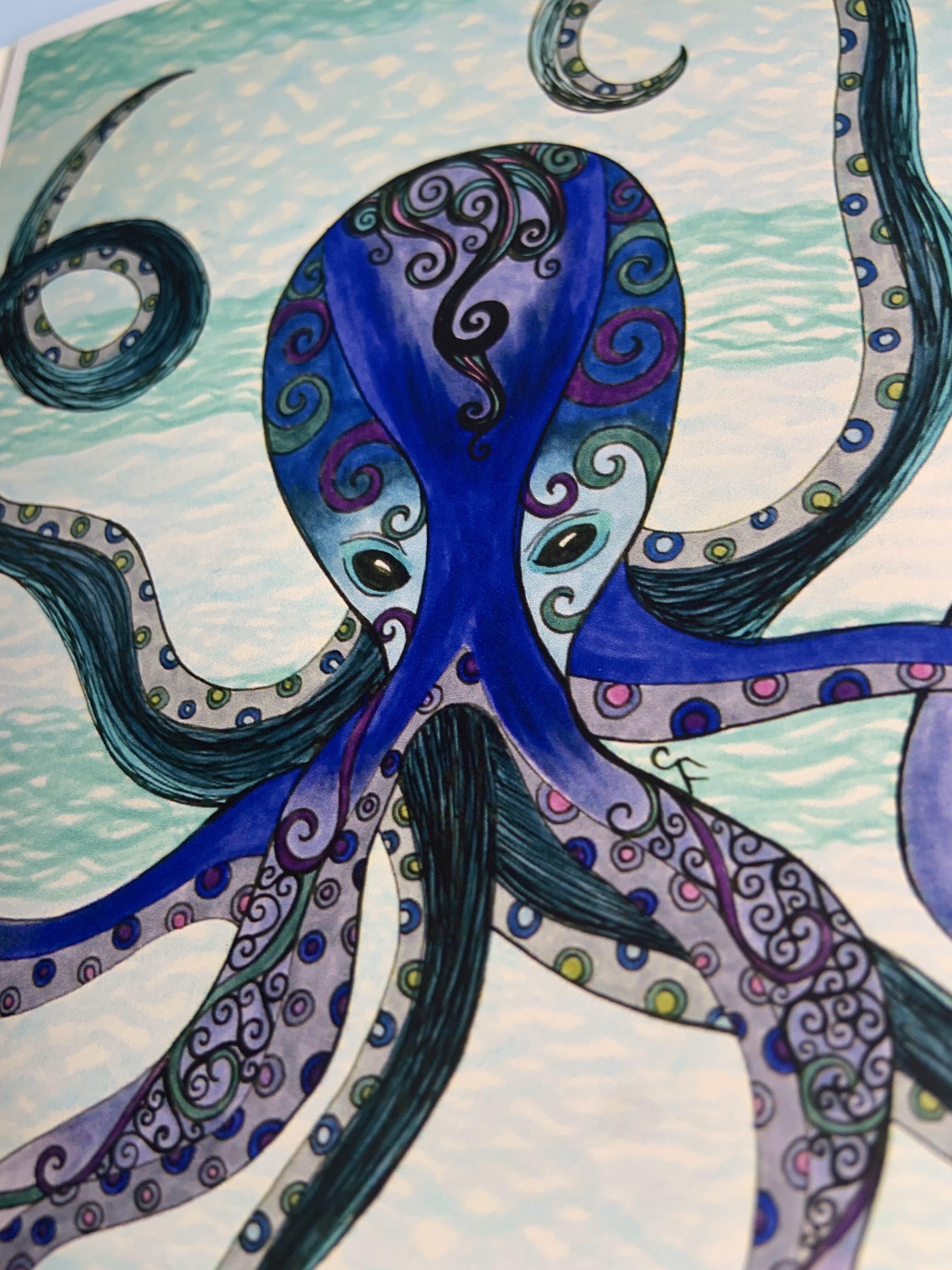 Octopus Greeting card 5×7 – Ablaze in Color
